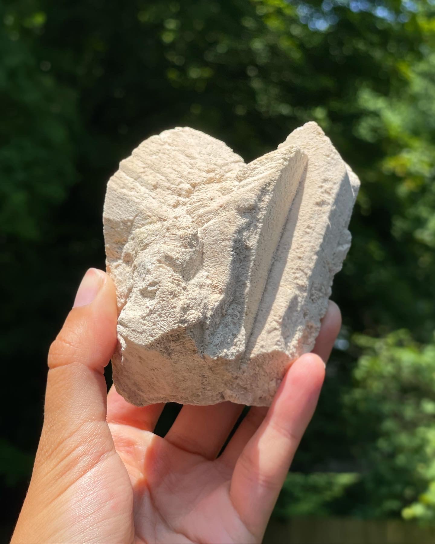 Albite – ARC Crystals LLC